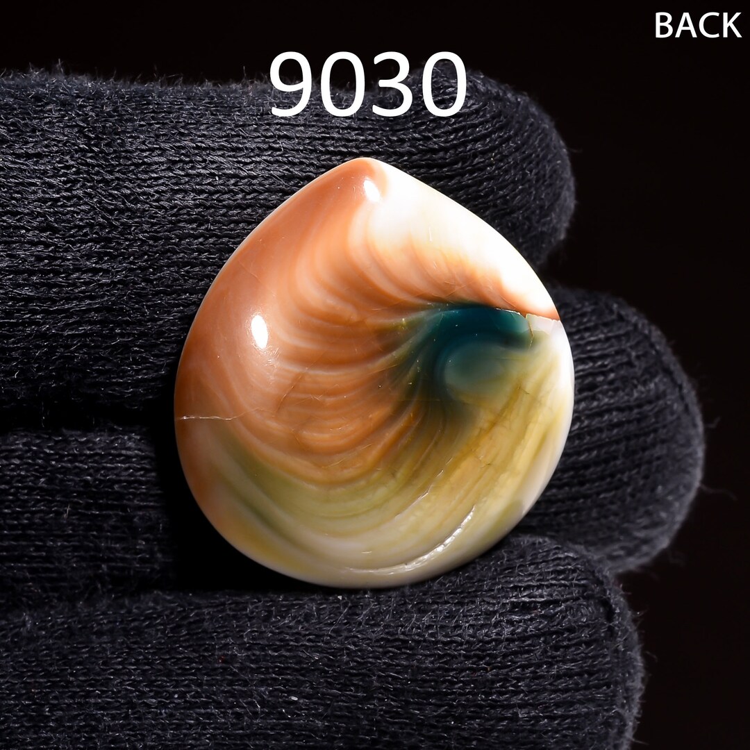 Natural Shiva Eye Shell Gemstones, Natural Shiva Eye Gemstone, Loose ...