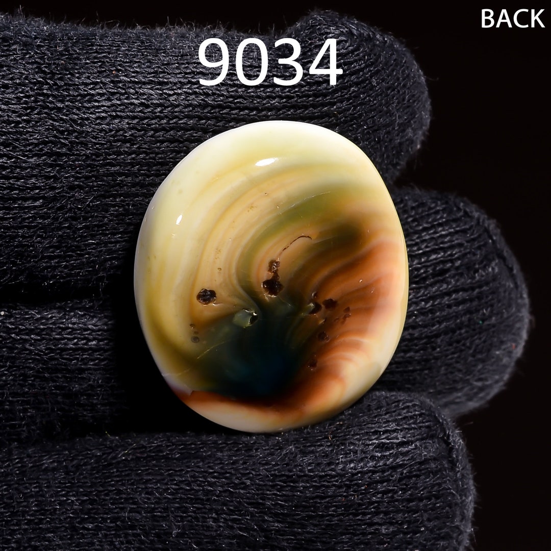 Natural Shiva Eye Shell Gemstones, Loose Gemstone Crystals for Jewelry ...