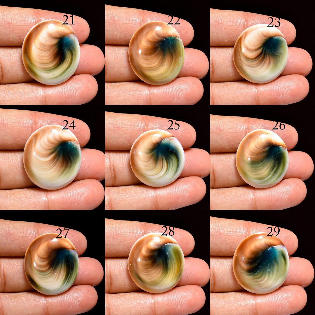 Natural Shiva Eye Shell Gemstones, Loose Gemstone Crystals for Jewelry ...