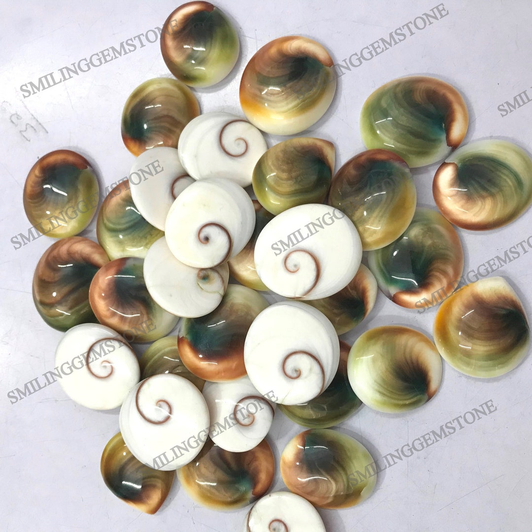 Natural Shiva Eye Shell Gemstones Wholesale Cabochons Lot, Jewelry ...