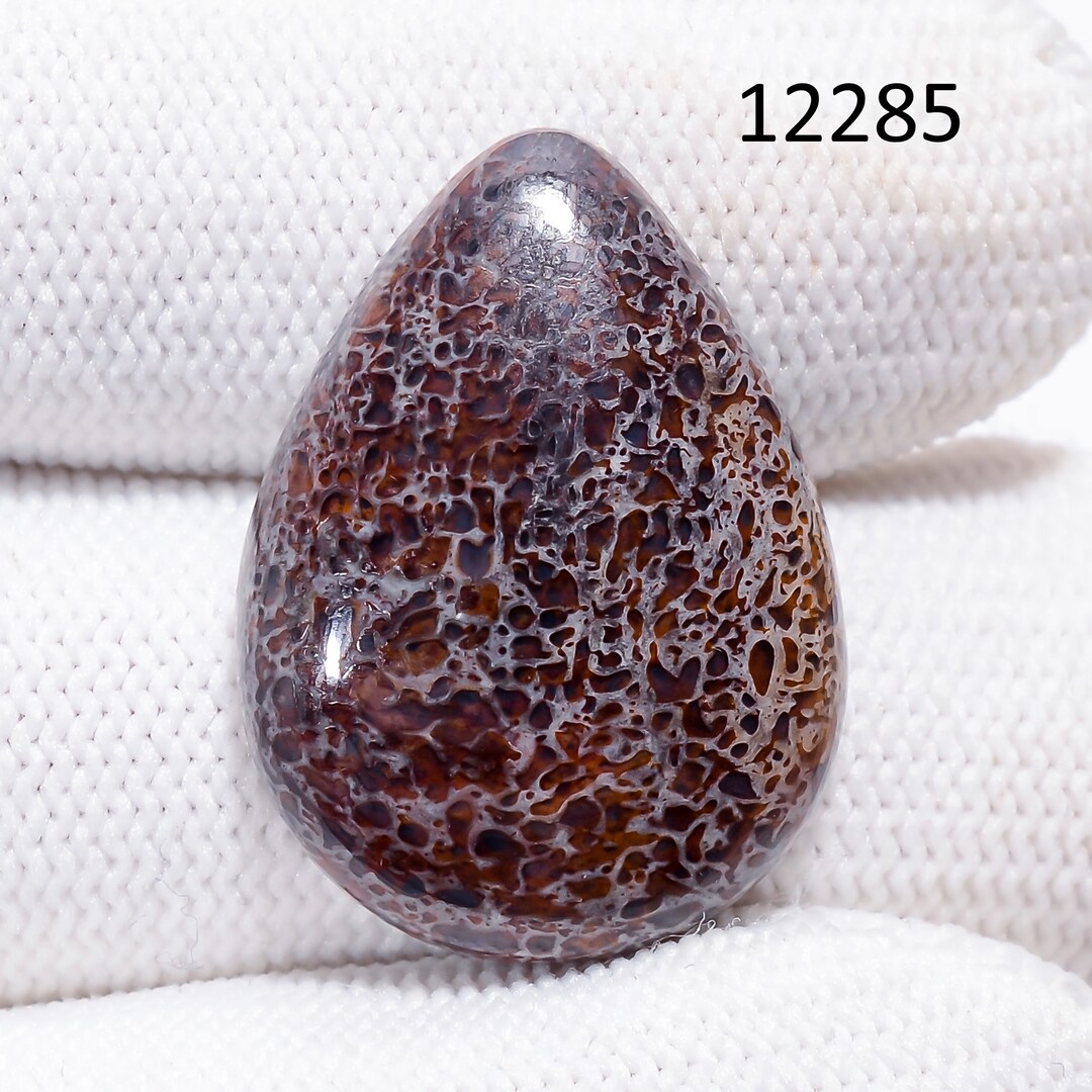 Dinosaur Bone Jasper Gemstone, Dinosaur Bone Jasper Cabochon, Loose ...