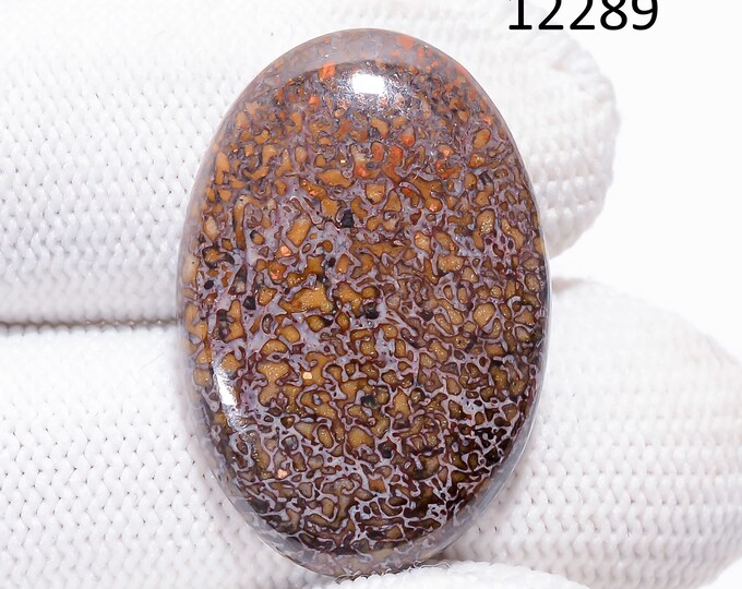 1 Lb. Dinosaur Bone Slab Gem Bone Agatized Silicated Dinosaur Bone Gem ...