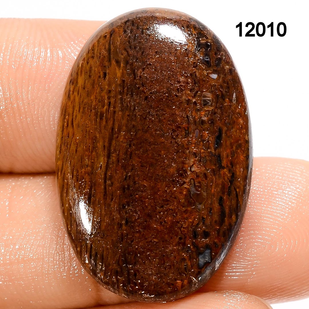 Dinosaur Bone Jasper Gemstone, Jasper Cabochon, Loose Pendant Gemstone ...