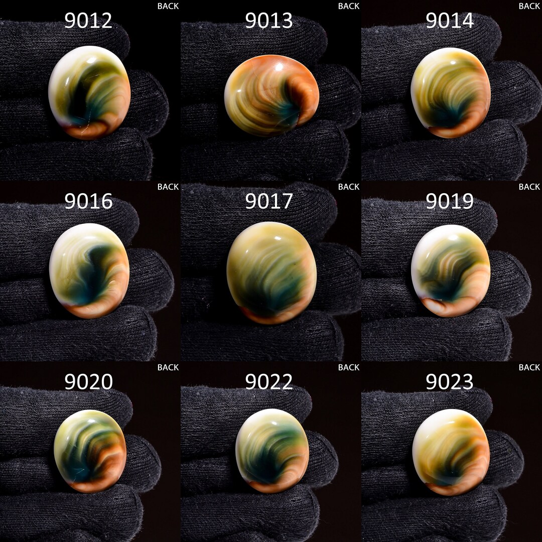 Natural Shiva Eye Shell Gemstones, Natural Shiva Eye Gemstone, Loose ...