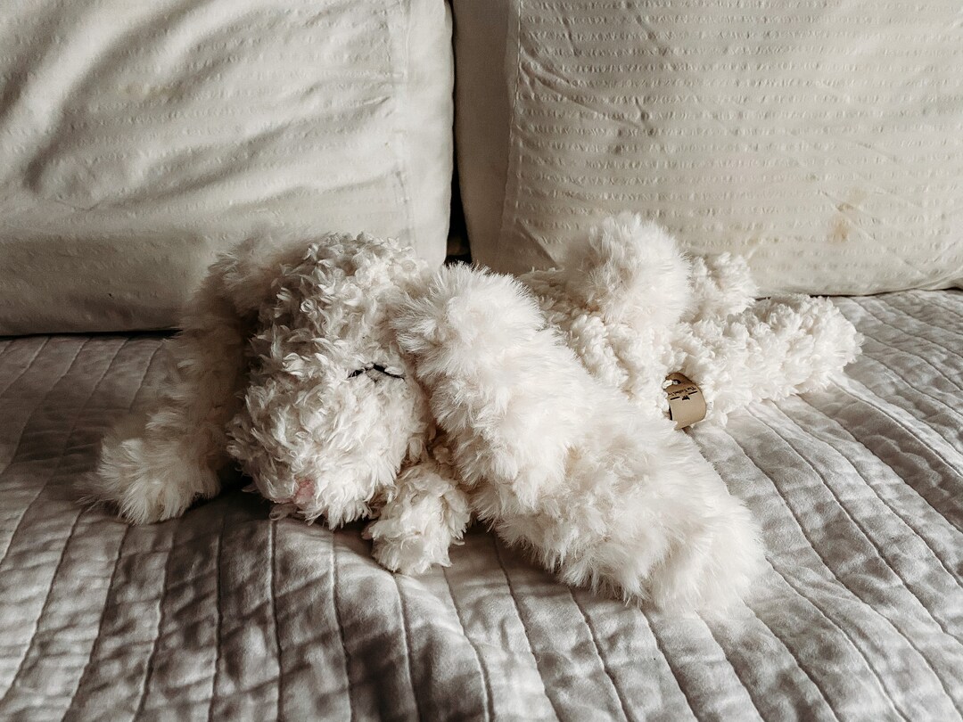 Bunny Lovey | Fuzzy Bunny | Sherpa Bunny | Cuddle Bunny | Bunny Toy ...