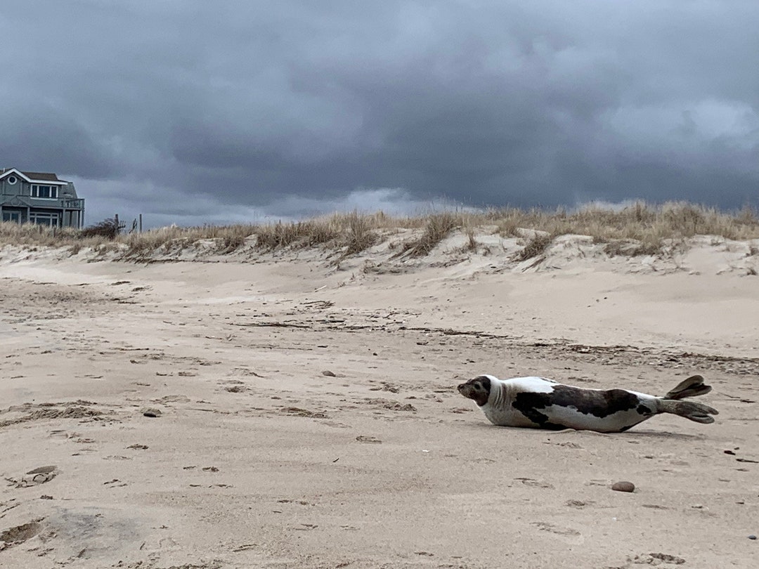 2154H Charlestown Beach, Rhode Island Photography, Charlestown Wall Art ...