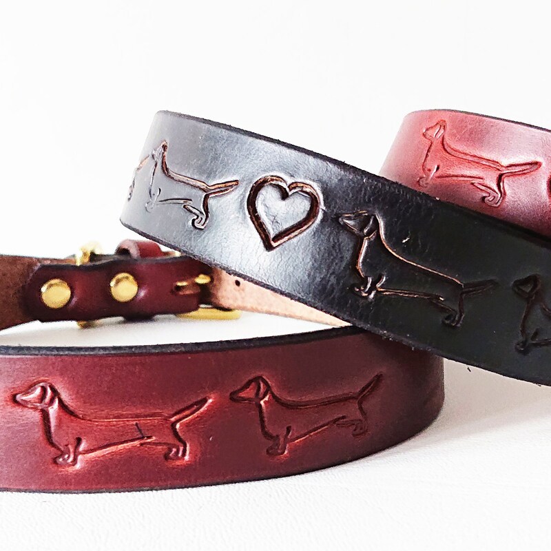 Dachshund Collar - Etsy