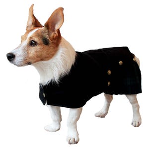 Tartan Plaid Dog Kilts. Weddings, Hogmanay and Burns Night. Hand ...