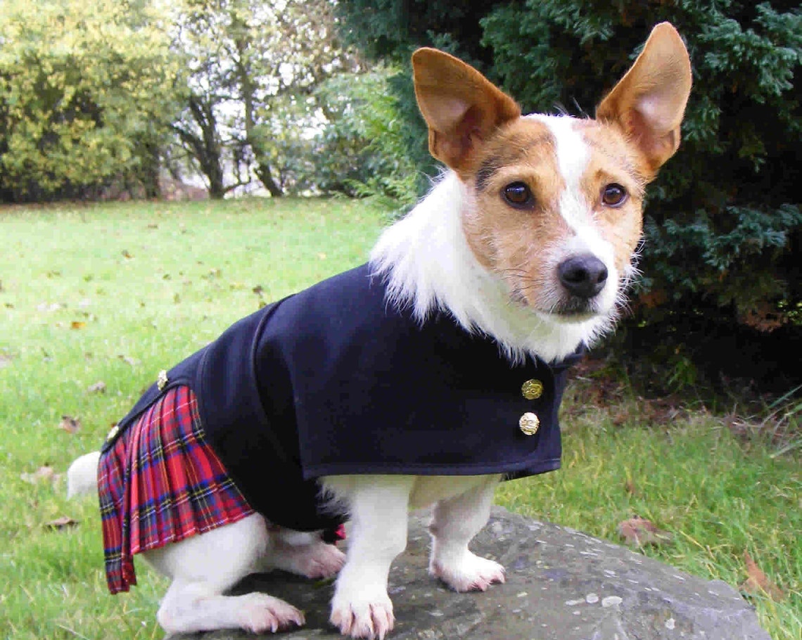 Tartan Plaid Dog Kilts. Weddings Hogmanay and Burns Night. - Etsy
