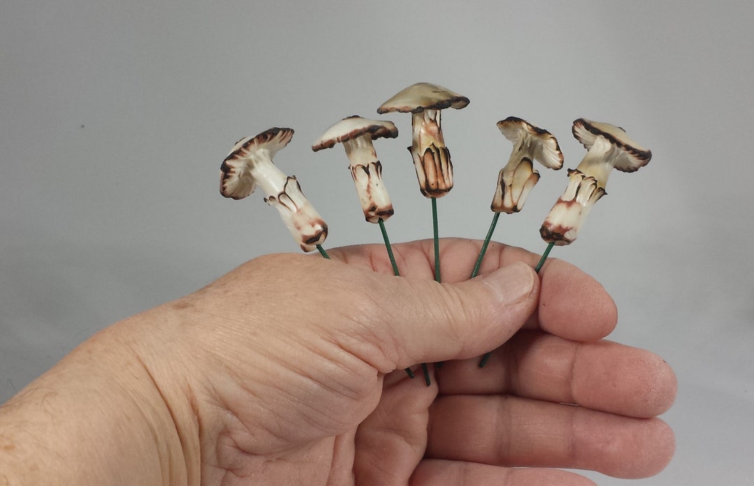 Set of 5 Miniature Mushrooms - Etsy