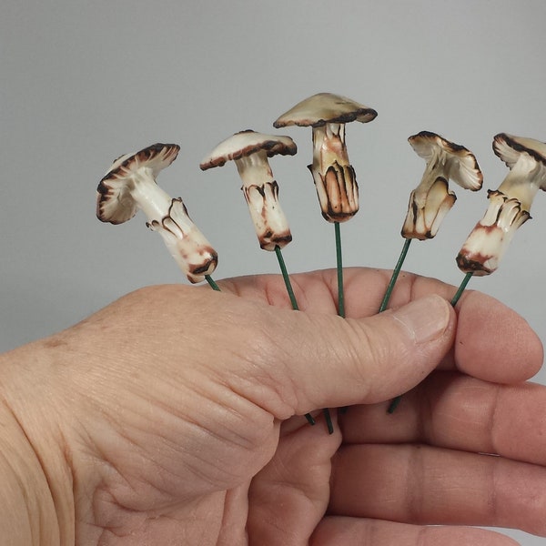 Miniature Mushroom - Etsy