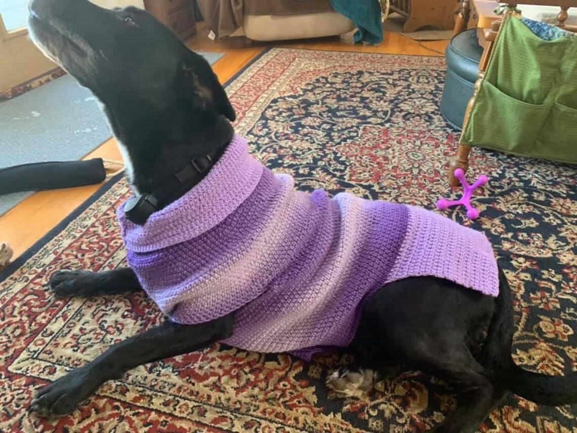 Crochet Dog Sweater Pattern Small Medium Large XL Multi - Etsy