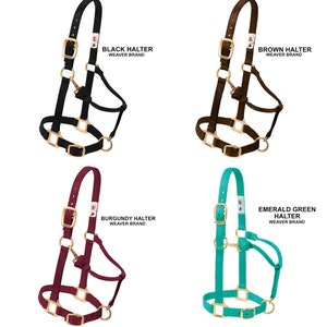 Personalized Horse Halter, Halter, Monogrammed Horse Halter, Horse ...