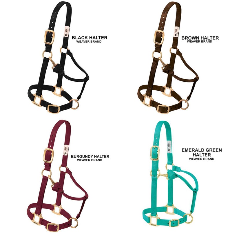 Personalized Horse Halter Halter Monogrammed Horse Halter - Etsy