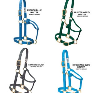 Personalized Horse Halter, Halter, Monogrammed Horse Halter, Horse ...