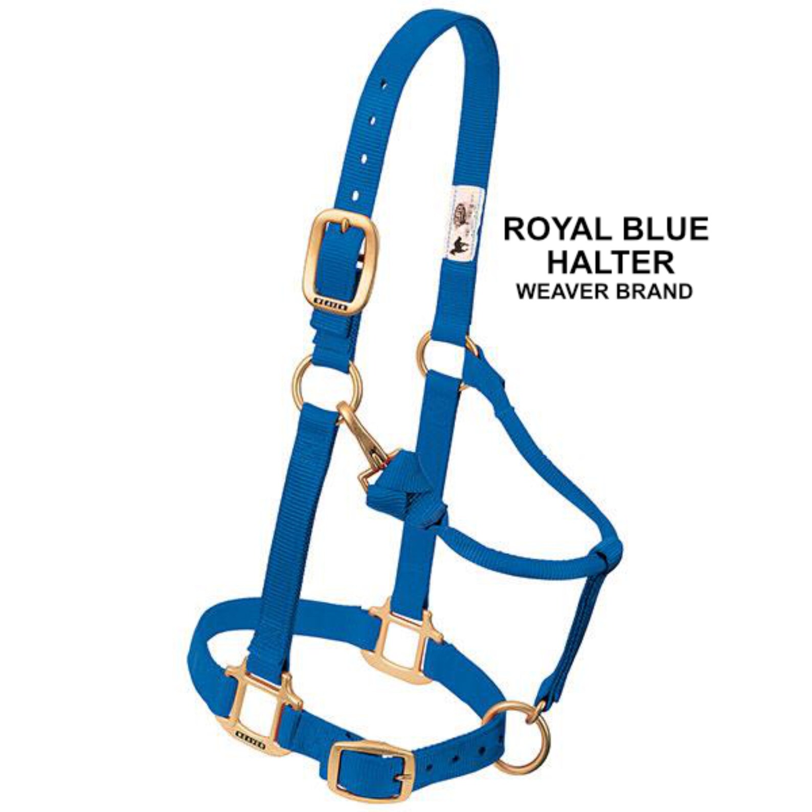 Personalized MINI Horse Halter Halter Monogrammed Horse - Etsy