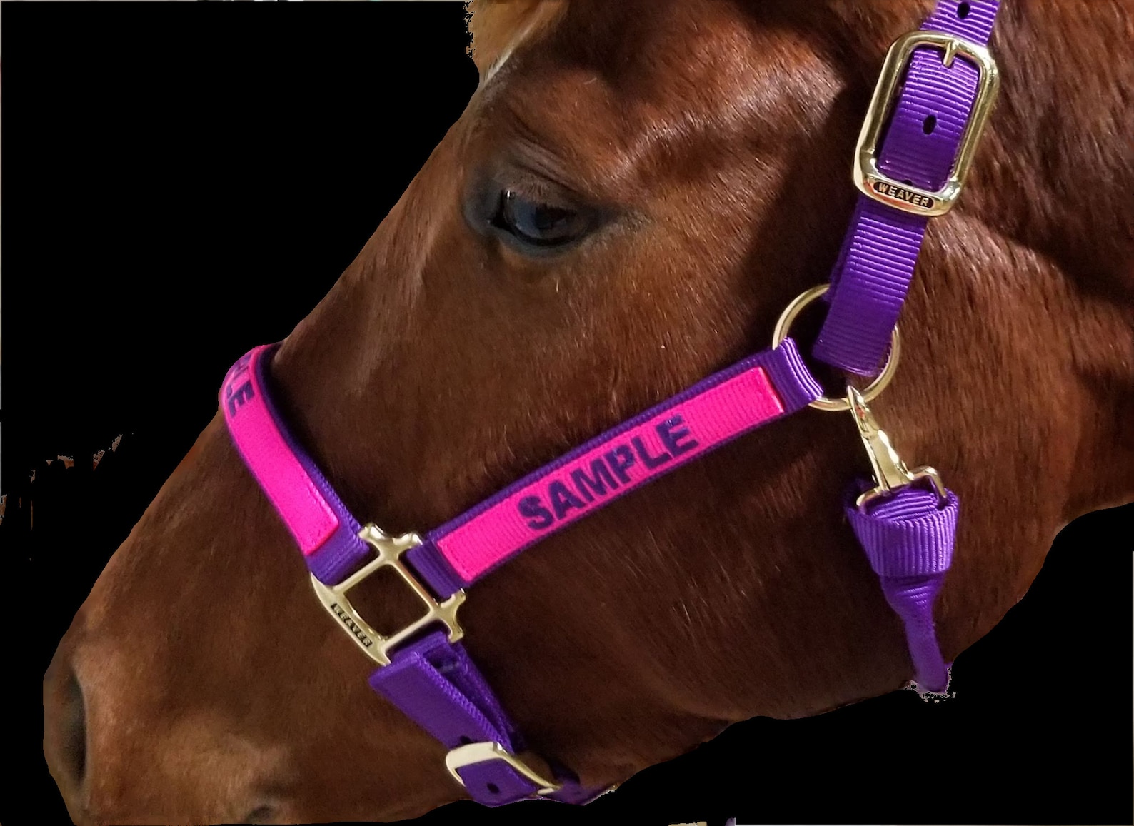 Personalized - SIDE OPTION ONLY - *****halter Not Included*****you Must ...