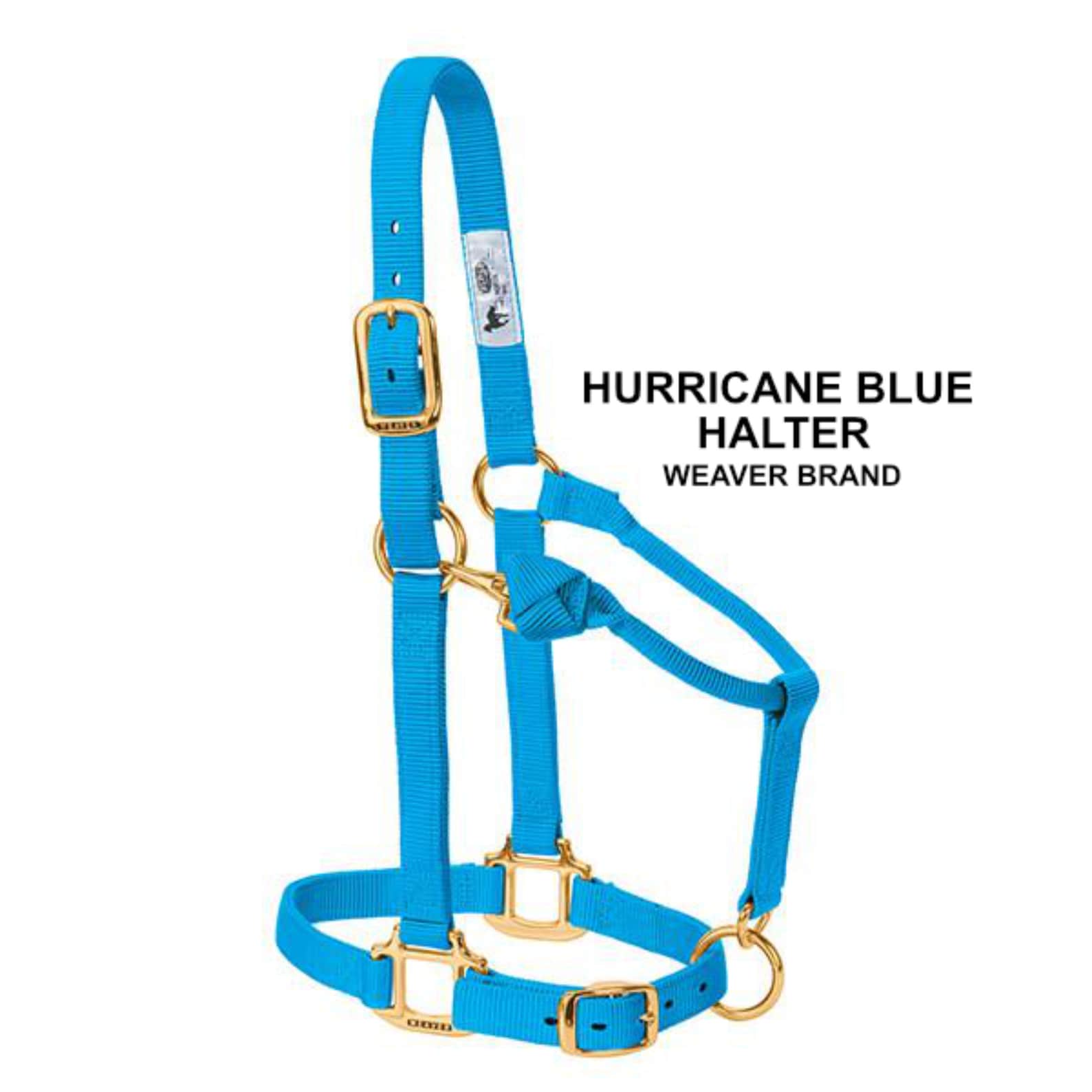 Personalized MINI Horse Halter Halter Monogrammed Horse - Etsy