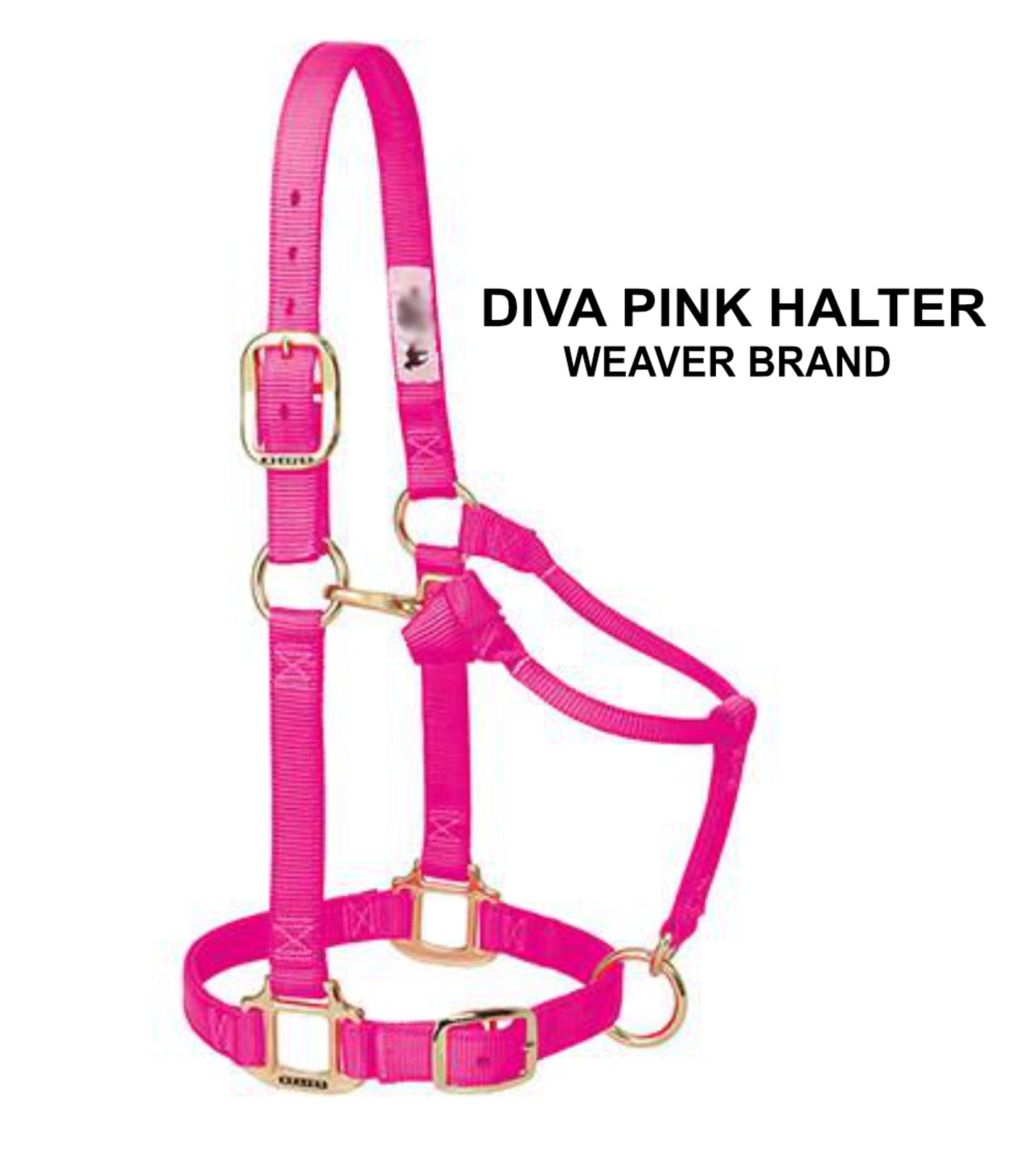 Personalized MINI Horse Halter Halter Monogrammed Horse - Etsy