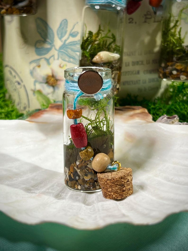 Mini Moss Terrarium Magnets - Etsy UK