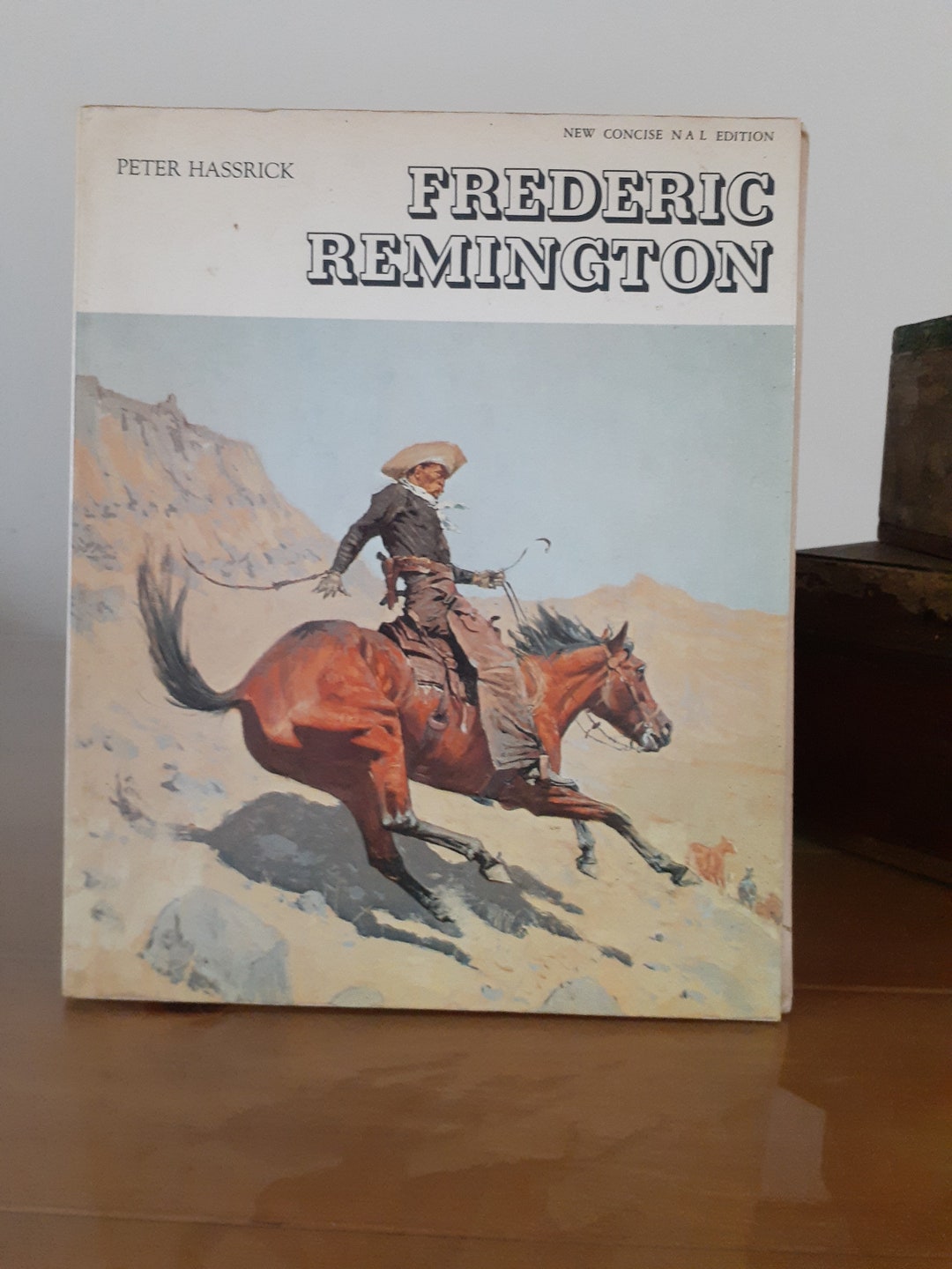 Vintage Book of Frédéric Remington 1973 - Etsy