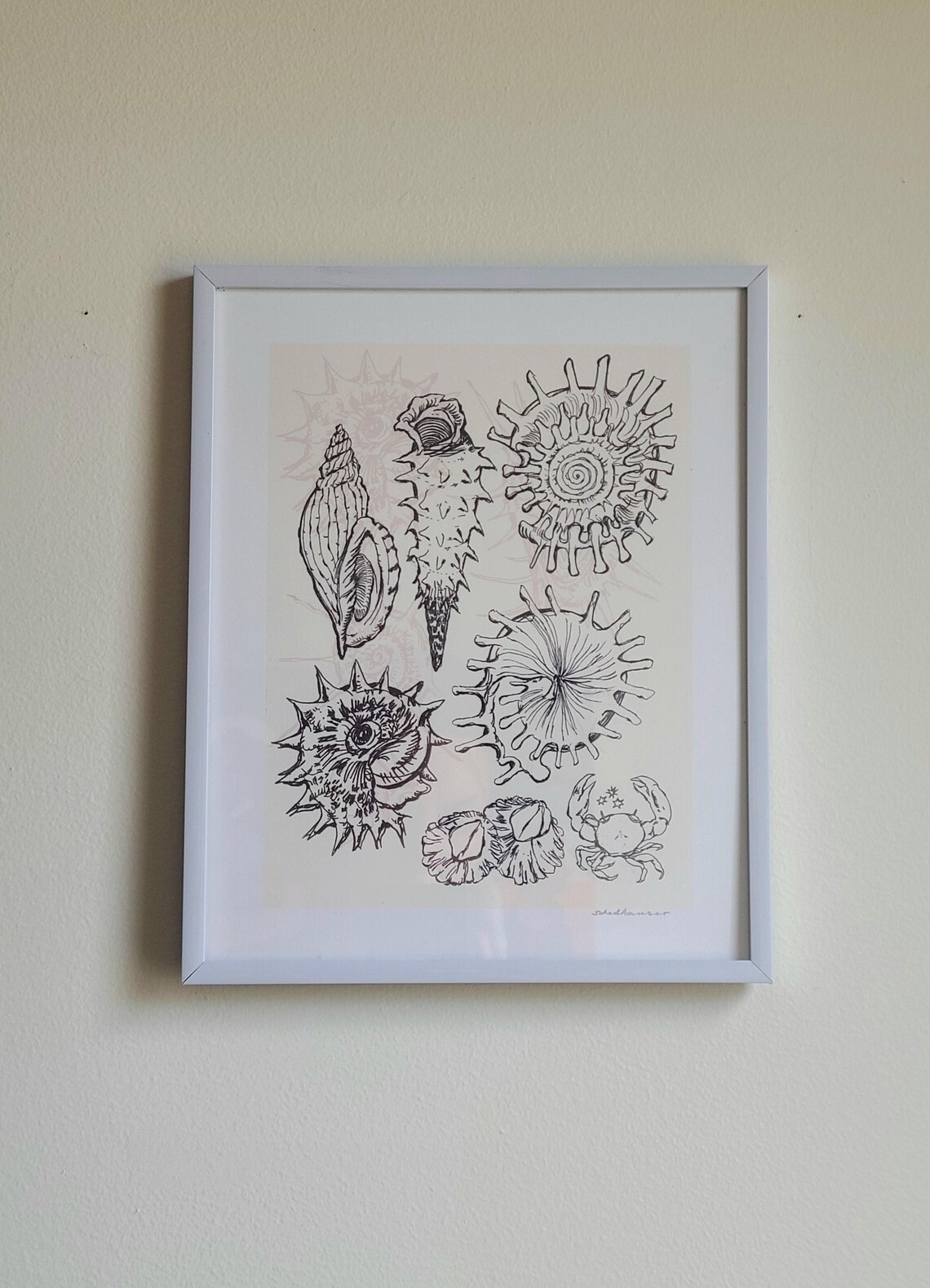 Seashell Ink Illustration | 8"x10" Art Print | New England Art - Etsy