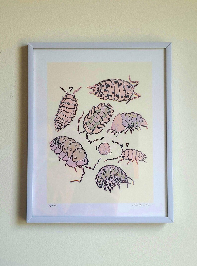 Isopod Art Print | 8"x10" | Rolly Polly Illustration | Bug Art - Etsy
