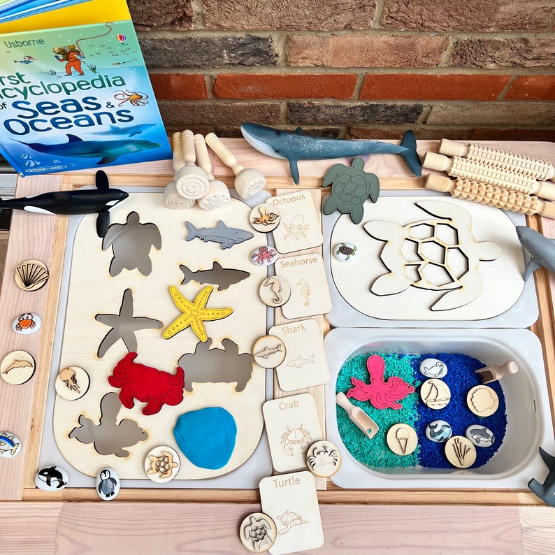 Under the Sea Sensory Play Set Up Montessori Learning Wooden - Etsy UK