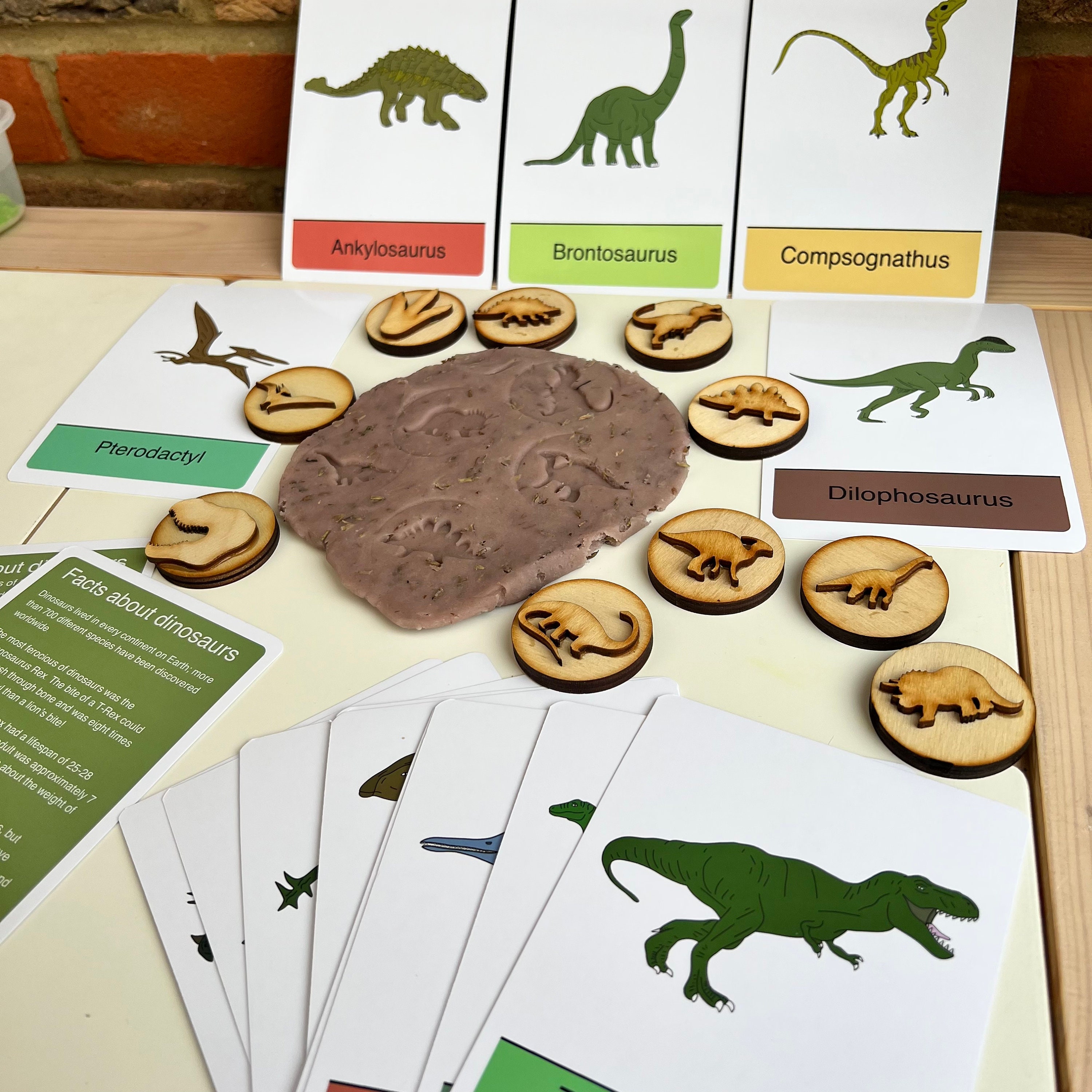 Dinosaur Playdough Stampers & Flash Cards Dinosaur Lover | Etsy