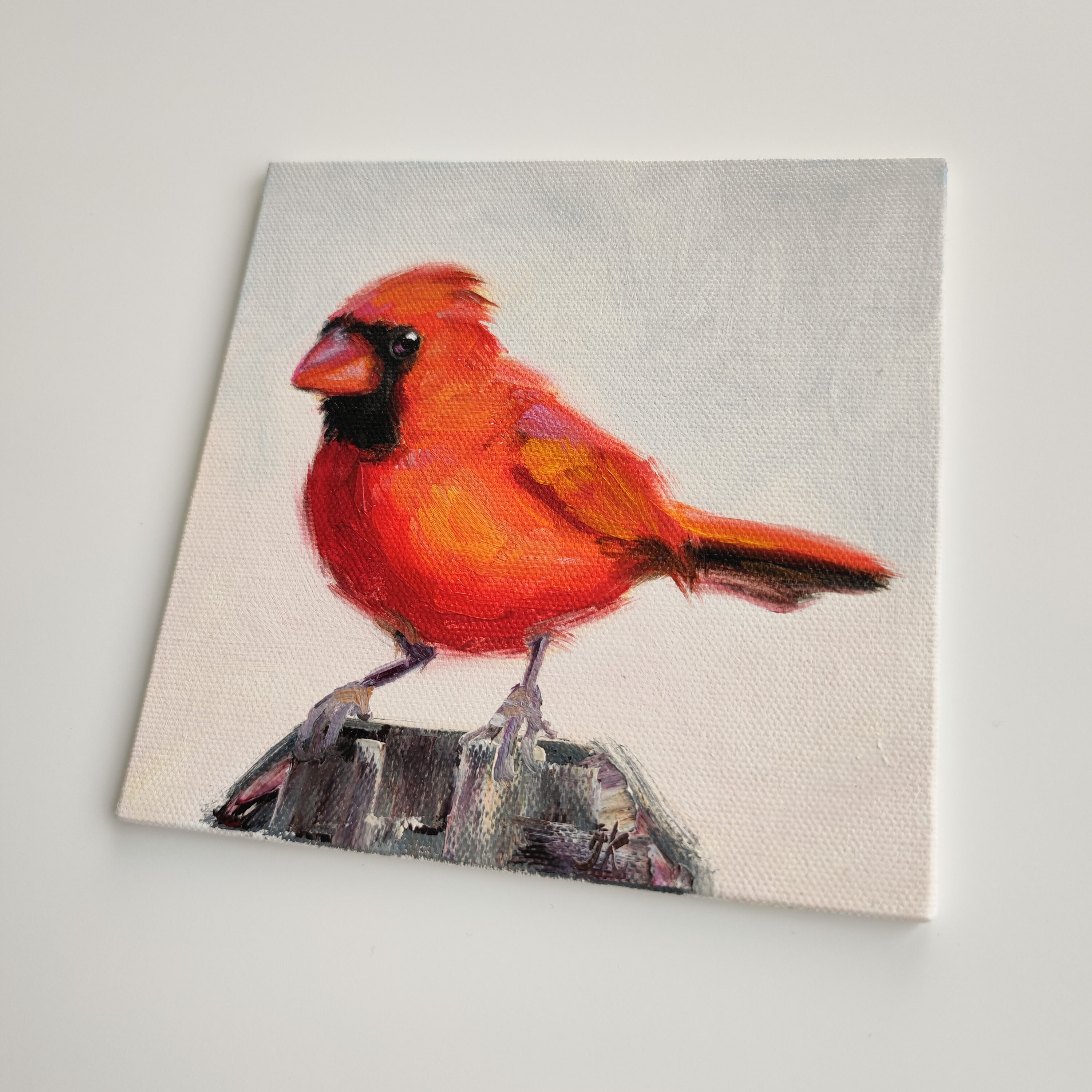 Red Cardinal Painting Original Bird Art on Square Canvas - Etsy