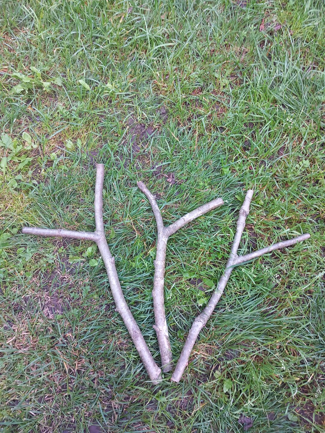 Rowan Wood Wand Unfinished - FORKED, With Bark Real Magic Wand, Wizard ...