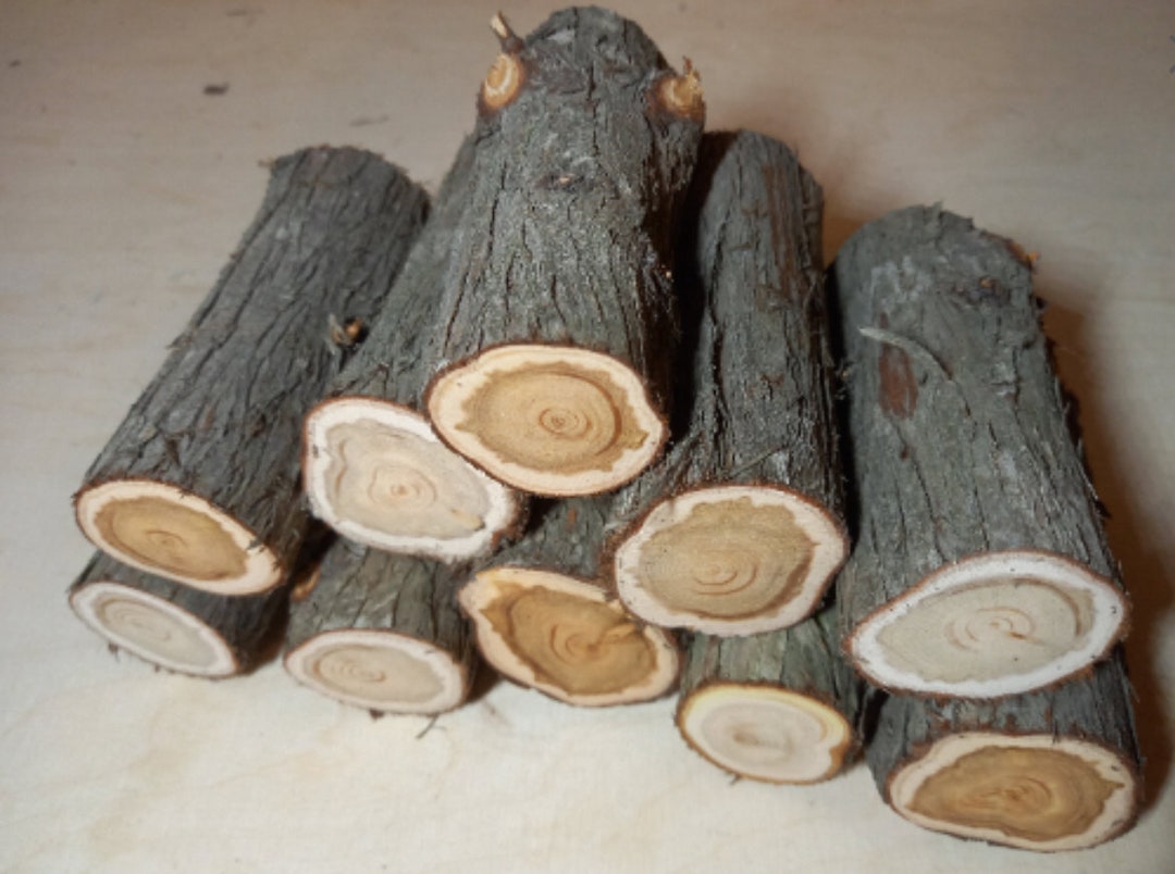 Juniper Wood Log - DIY Craft Supplies, Juniperus Communis Tree, Shaman ...