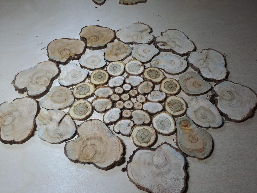Juniper Wood Discs 50x 5 Different Diameters Set, Wall Art Supply ...
