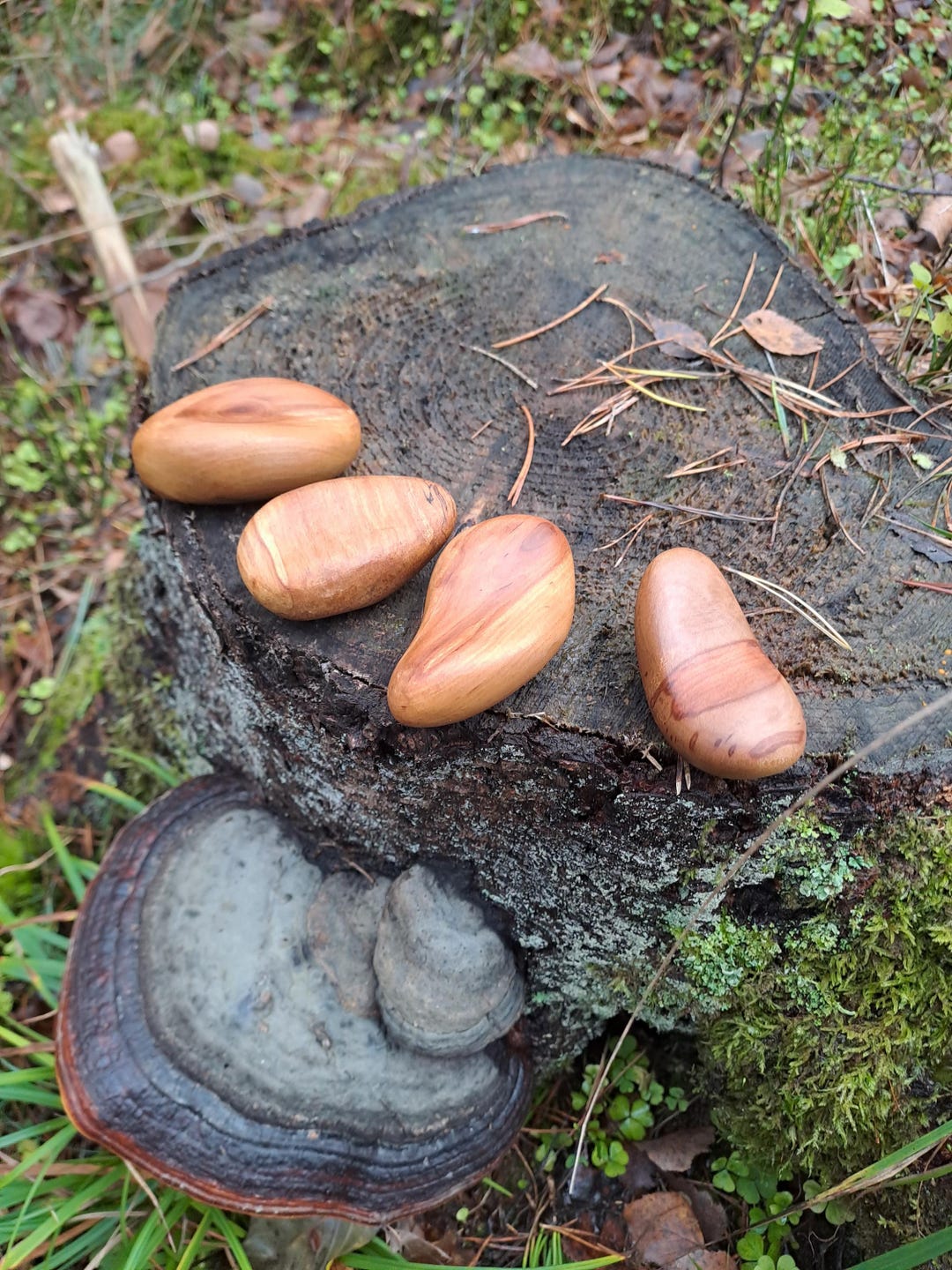 Antistress Wood Fidget Toy "message From Forest" - Calming Wood, Woory ...