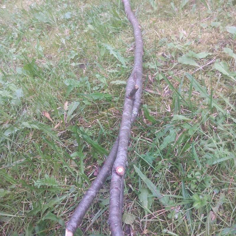 Wooden Wizard Staff - Etsy