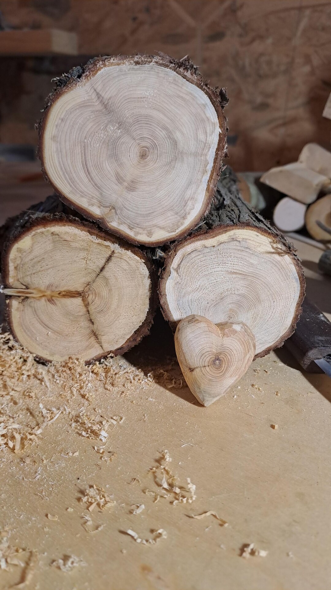 Juniper Wood Log "medium" DIY Craft Supplies, Juniperus Communis ...