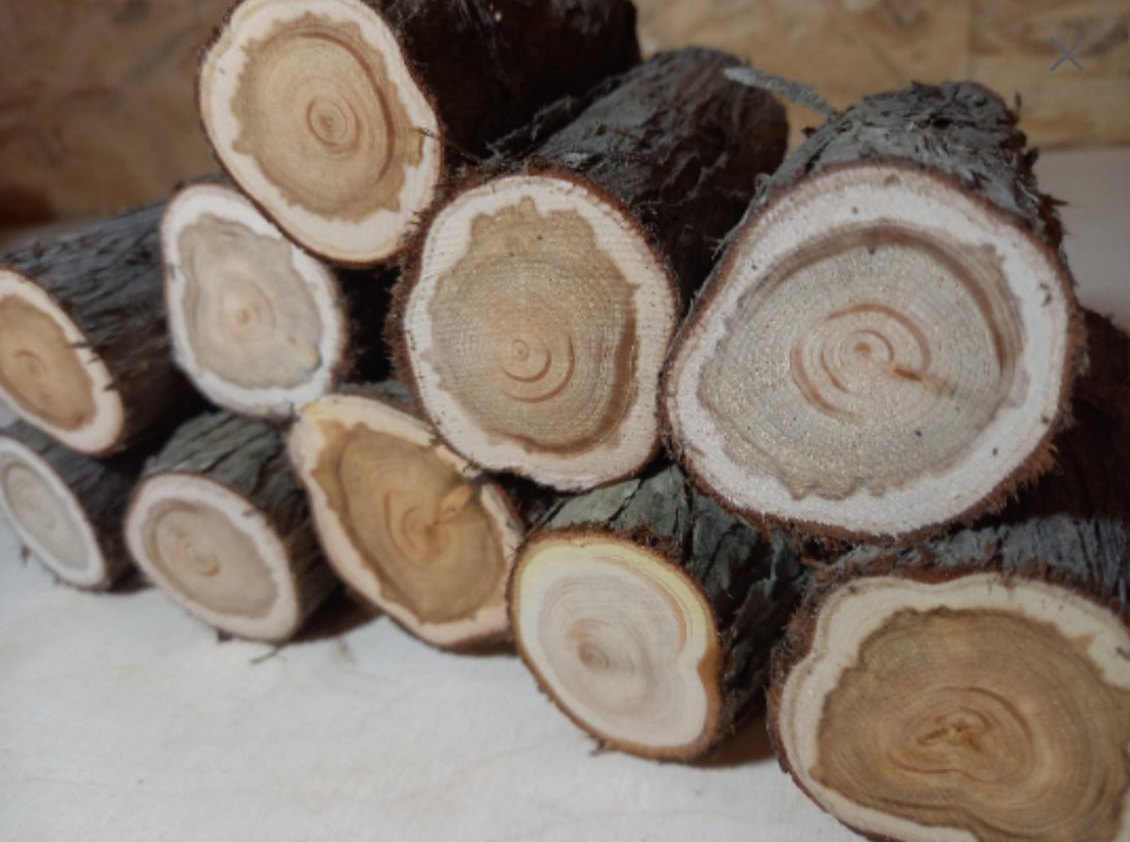 Juniper Wood Log - DIY Craft Supplies, Juniperus Communis Tree, Shaman ...