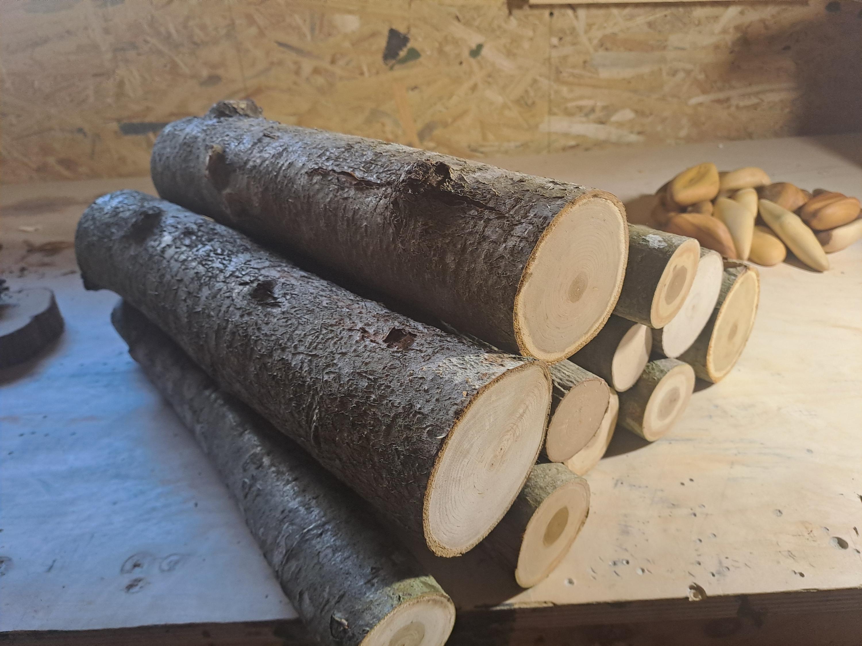 Big Rowan Wood Stick Length 13" / 33cm, Sold Individually, Mountain Ash ...
