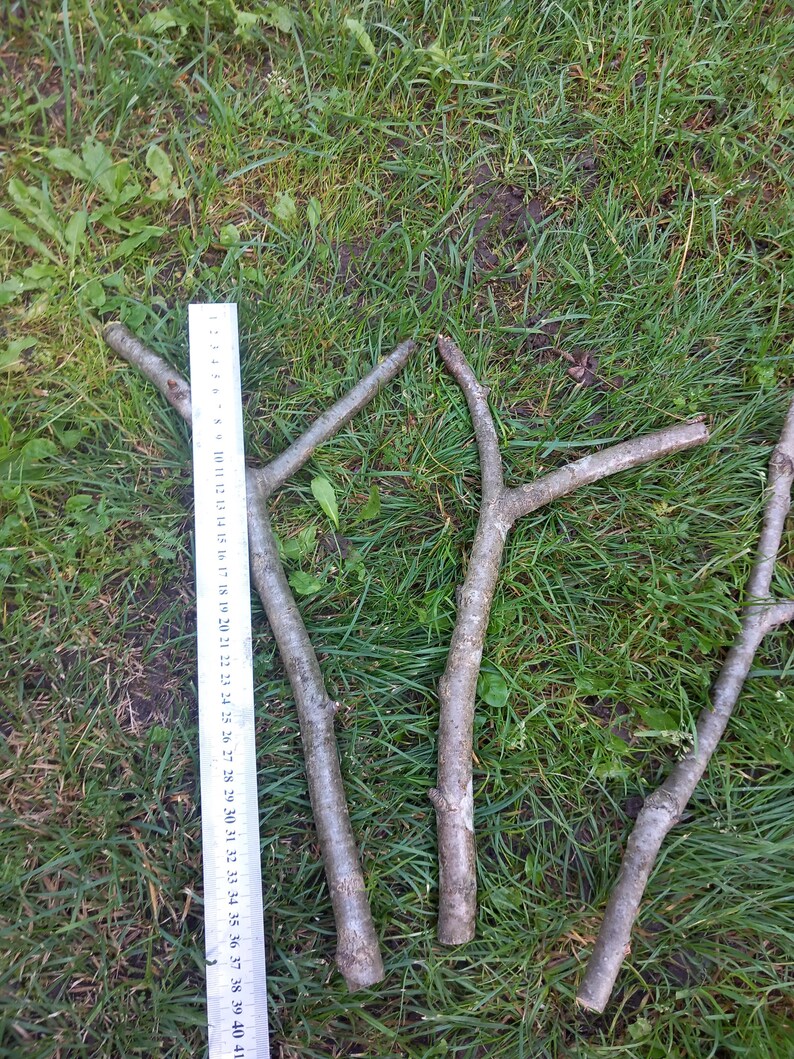 Rowan Wood Wand Unfinished - FORKED, With Bark Real Magic Wand, Wizard ...