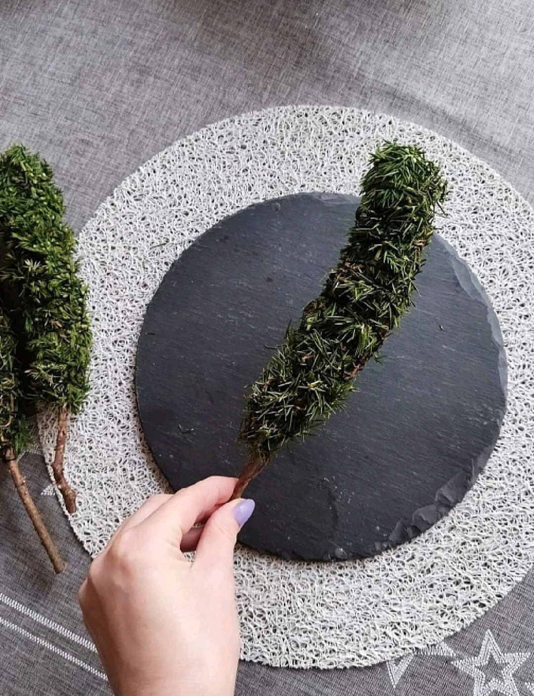 Juniper Burning Incense Smudge, Juniperus Communis Magic Tree, Shaman ...