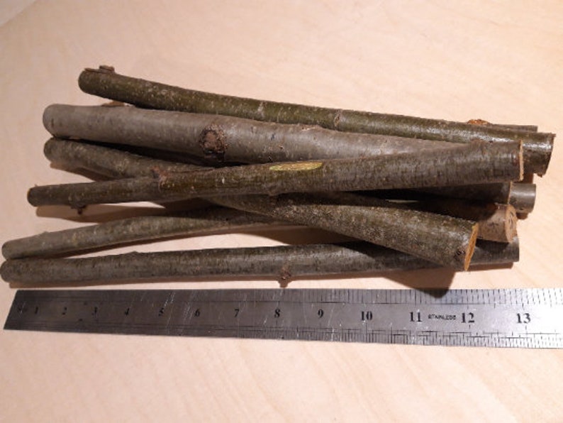 1 Rowan Wood Stick With Bark Length 13" / 33cm, Sold Individually ...