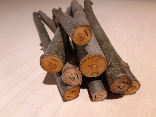 1 Rowan Wood Stick With Bark Length 13 / 33cm, Sold Individually ...