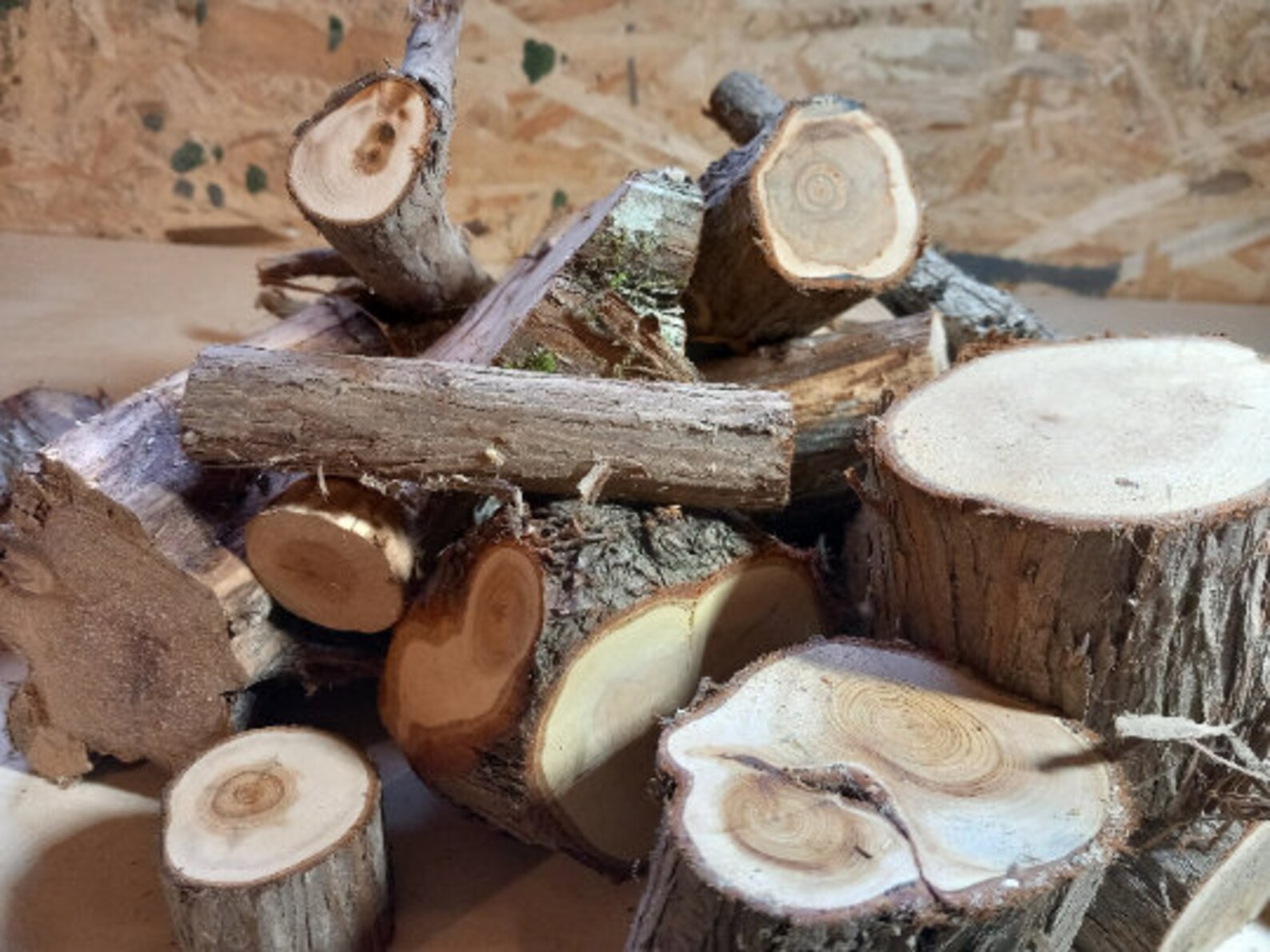 Juniper Leftowers 800g Scrap Wood Bundle, Juniperus Communis Tree, Shaman, Pagan, Rustic, Wood ...