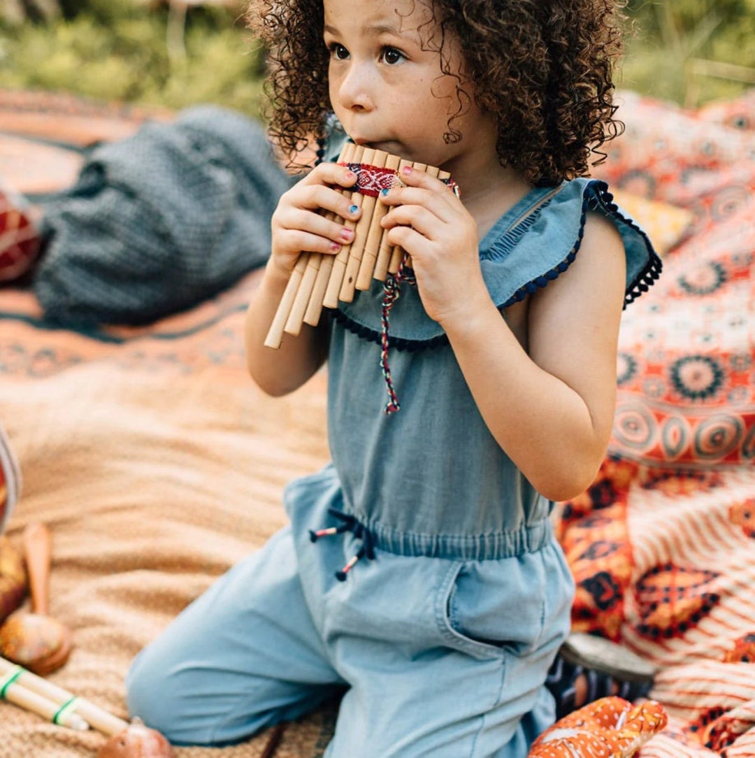 Andean Panflute Graduated Flutes South American Folk Music Panpipes Set ...