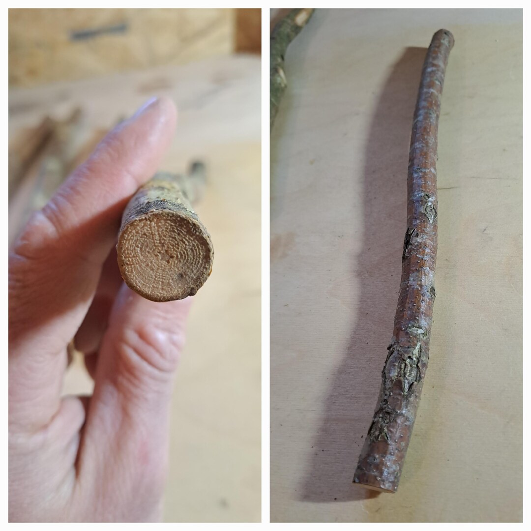 Oak Wood star Unique Nature Made Stick for Wand Making. Real Magic Wand ...