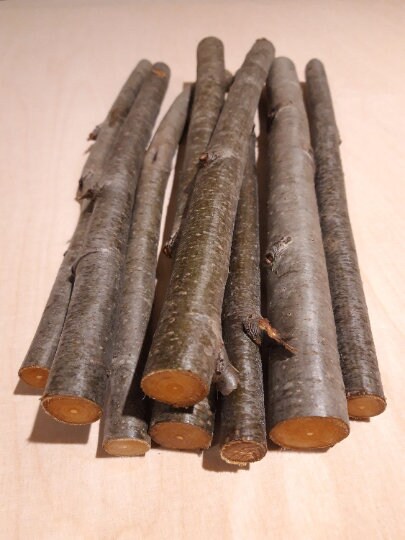 1 Rowan Wood Stick With Bark Length 13 / 33cm, Sold Individually ...