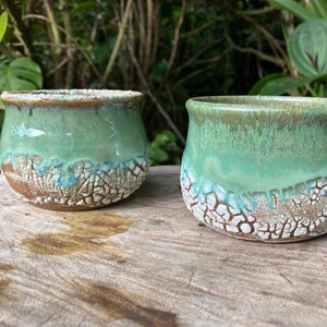 Ocean Coral Succulent Planters Small Pottery Planter Pottery Succulent ...