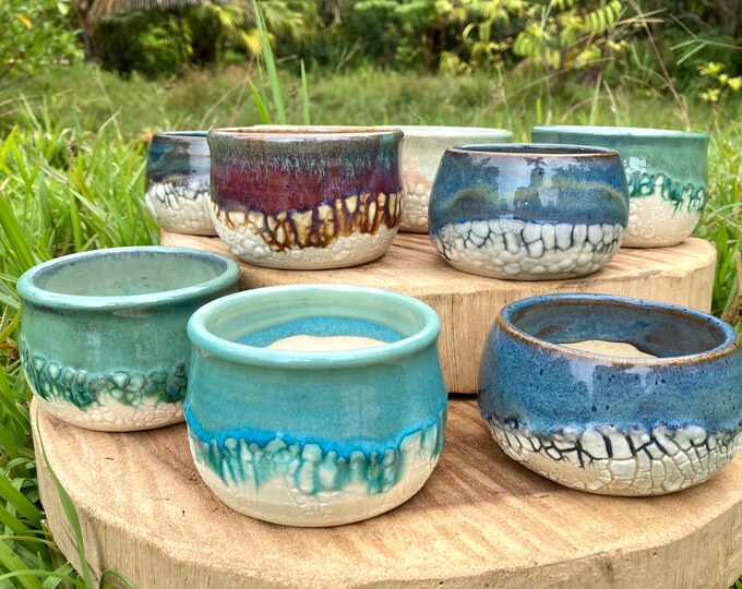 Ocean Coral Succulent Planters Small Pottery Planter Pottery Succulent ...