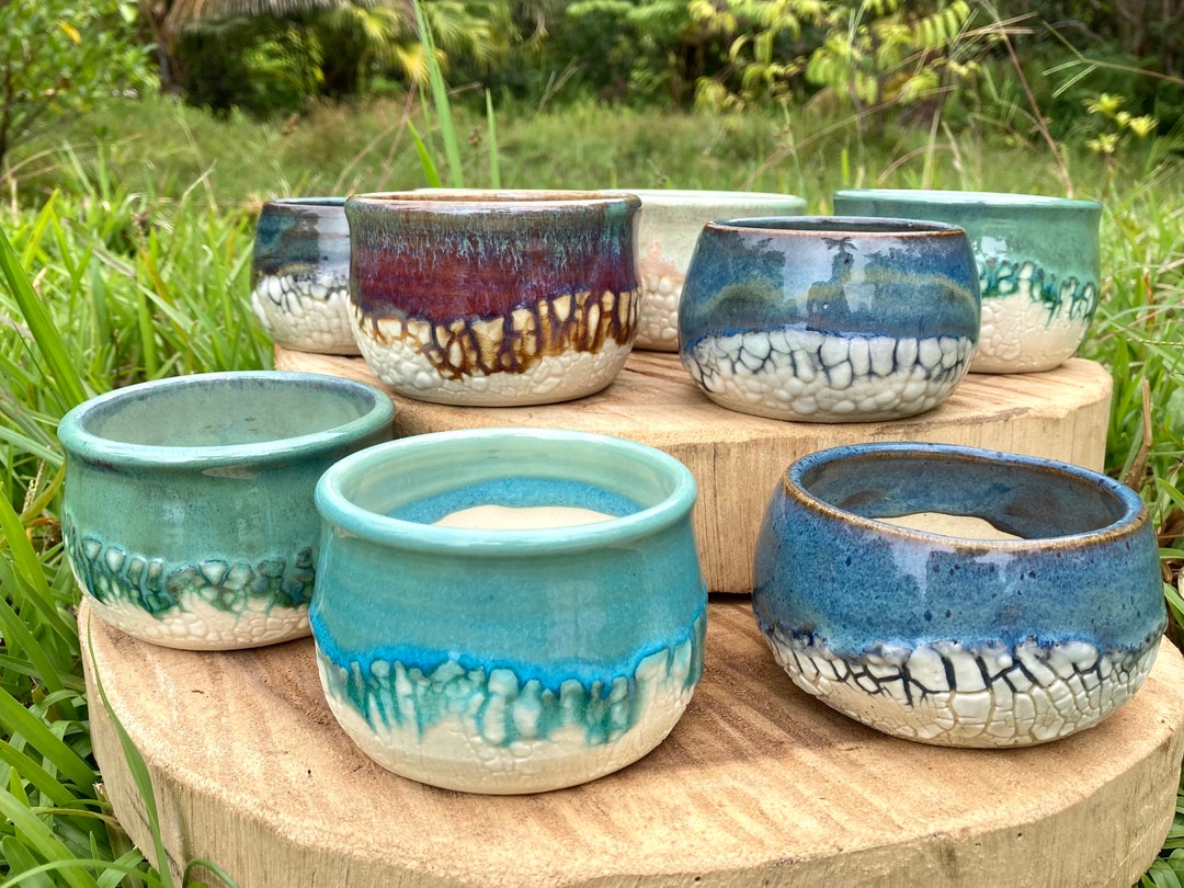 Ocean Coral Succulent Planters - Small Pottery Planter - Mini Succulent ...