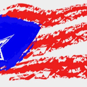 Puerto Rico Flag Vinyl Stickers-decals BANDERA Boricua - Etsy